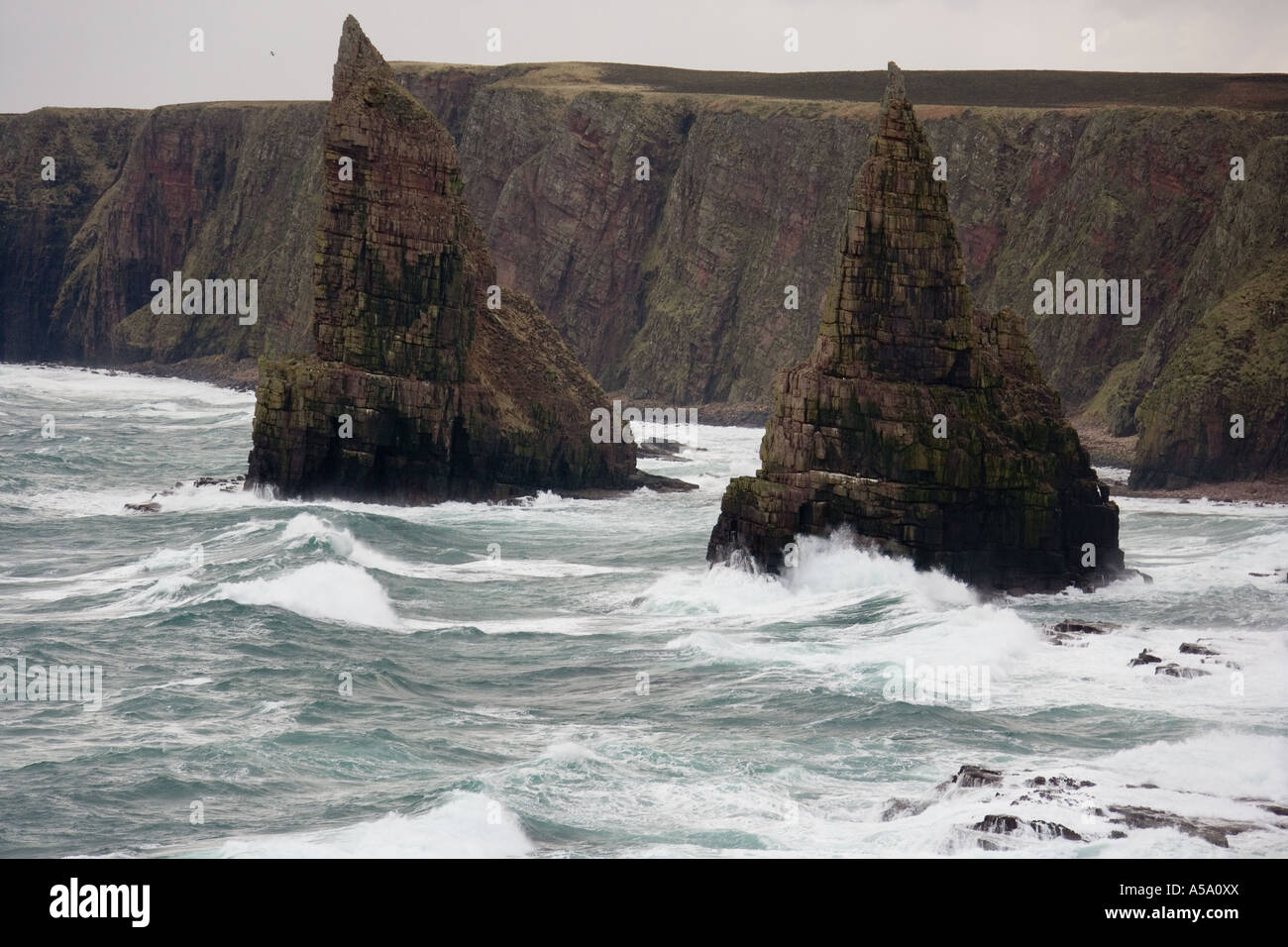 Stacks of Duncansby at Duncansby Head near John O' Groats in Northern ...