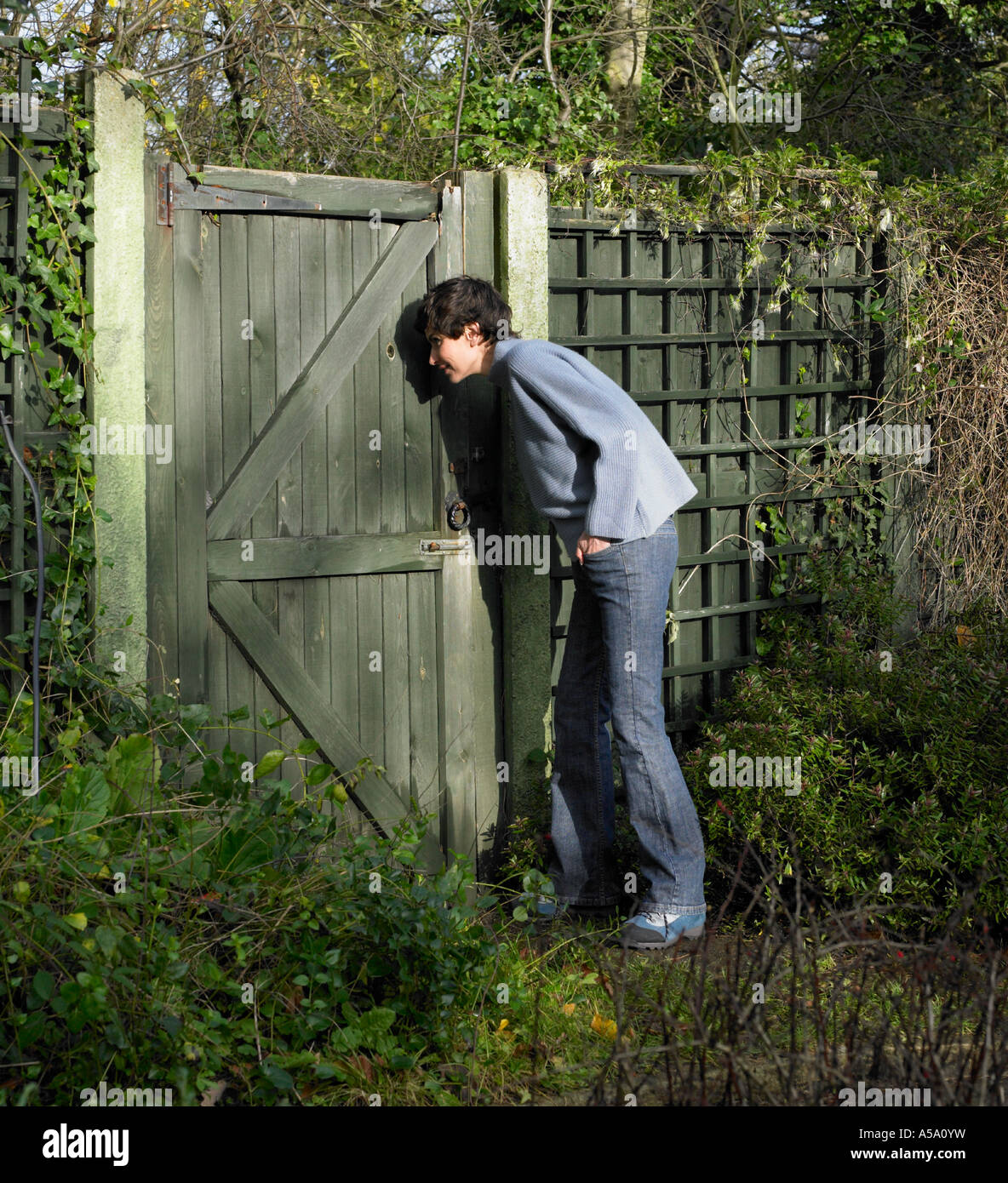 Woman looking through hole in garden gate Stock Photo - Alamy