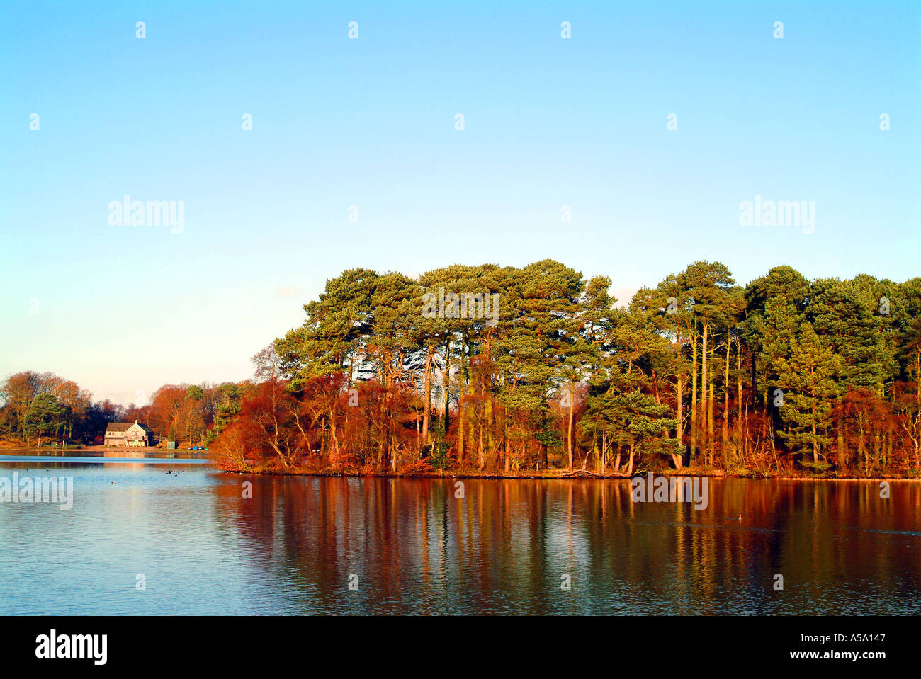 Talkin tarn country park hi-res stock photography and images - Alamy