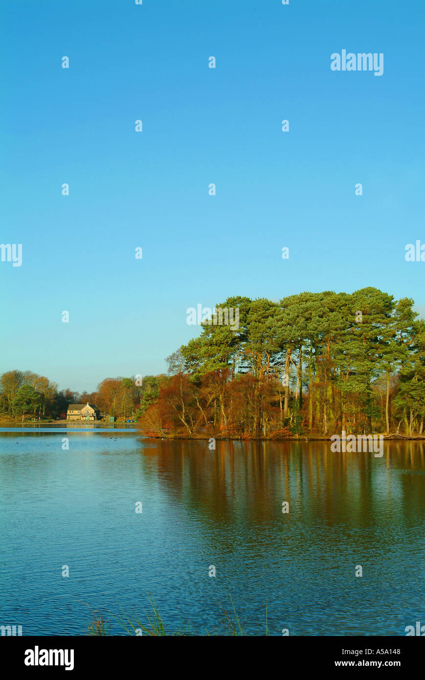 Talkin tarn country park hi-res stock photography and images - Alamy