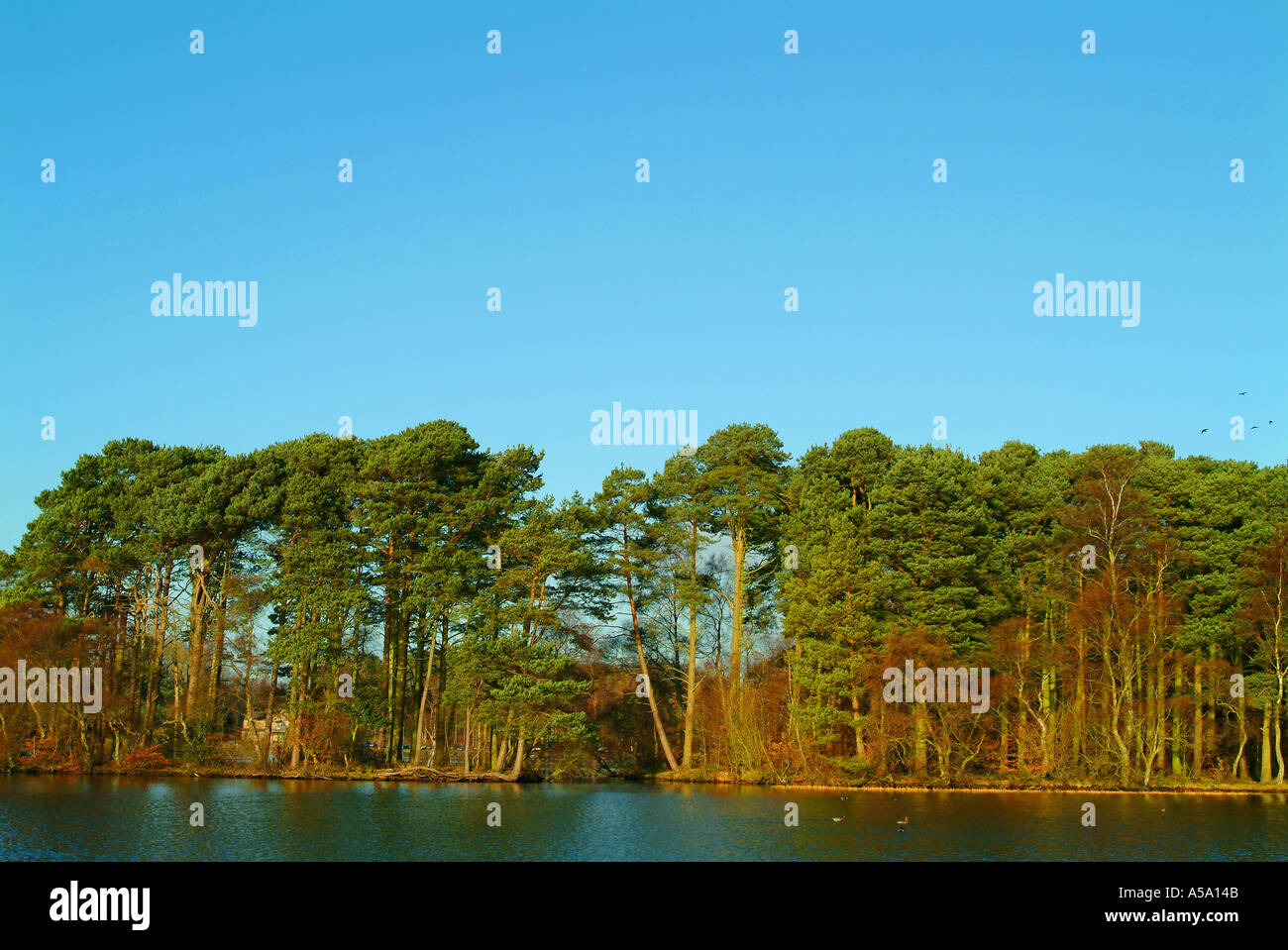 Talkin tarn country park hi-res stock photography and images - Alamy