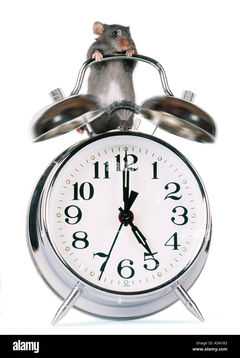 The mouse and the clock Cut Out Stock Images & Pictures - Alamy