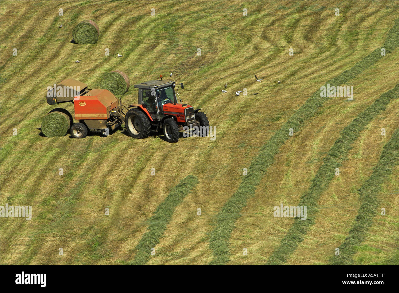 Making big round bales of silage in meadow Stock Photo - Alamy