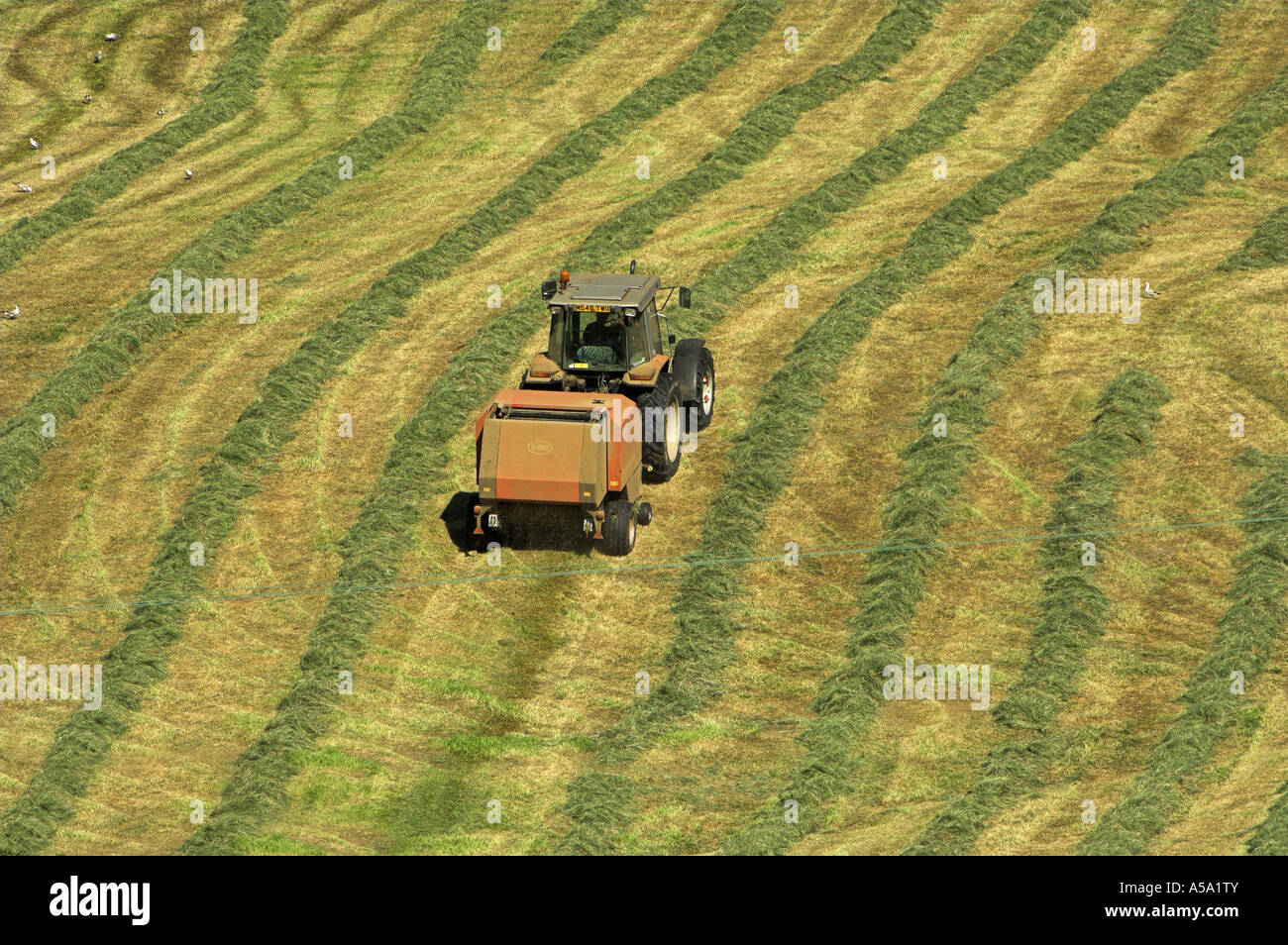 Making big round bales of silage in meadow Stock Photo - Alamy