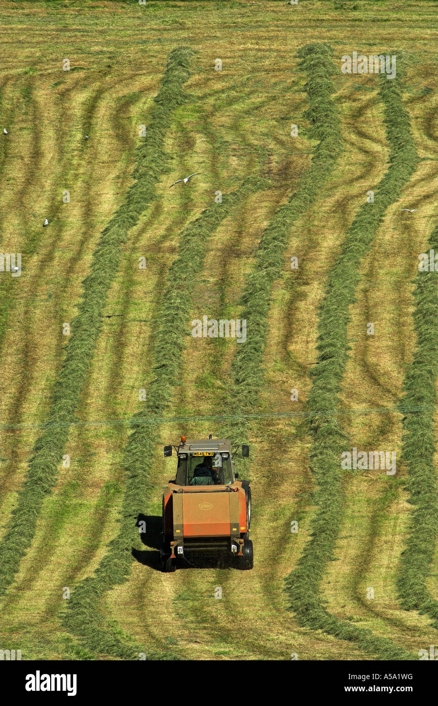 Making big round bales of silage in meadow Stock Photo - Alamy
