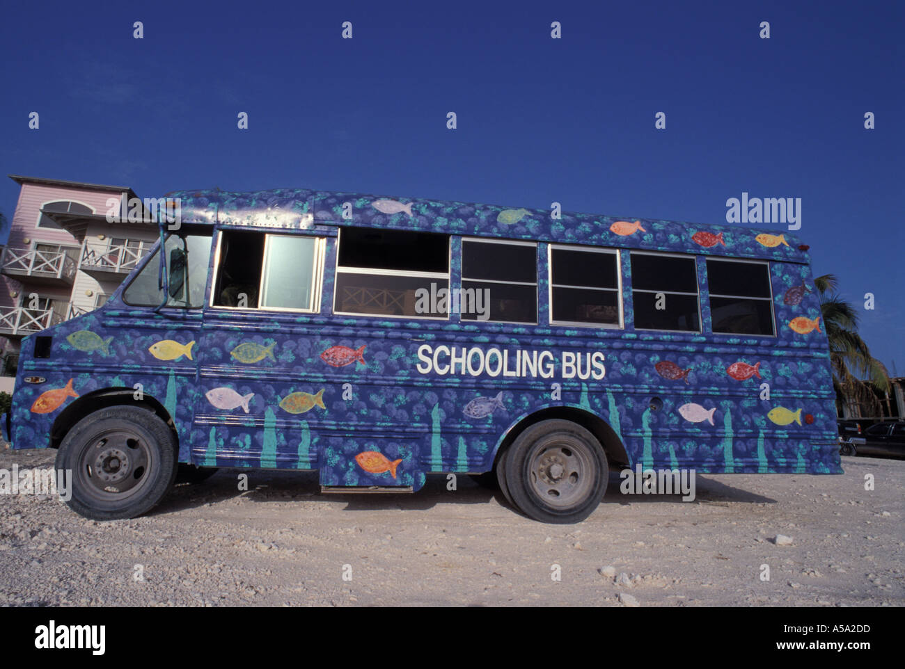 Schooling Bus in Provo Stock Photo - Alamy