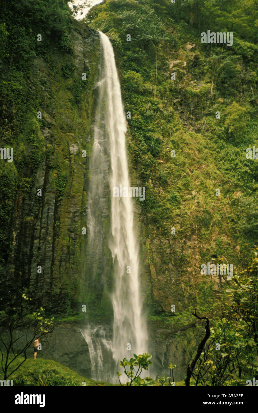 Cocos island costa rica waterfall hi-res stock photography and images ...