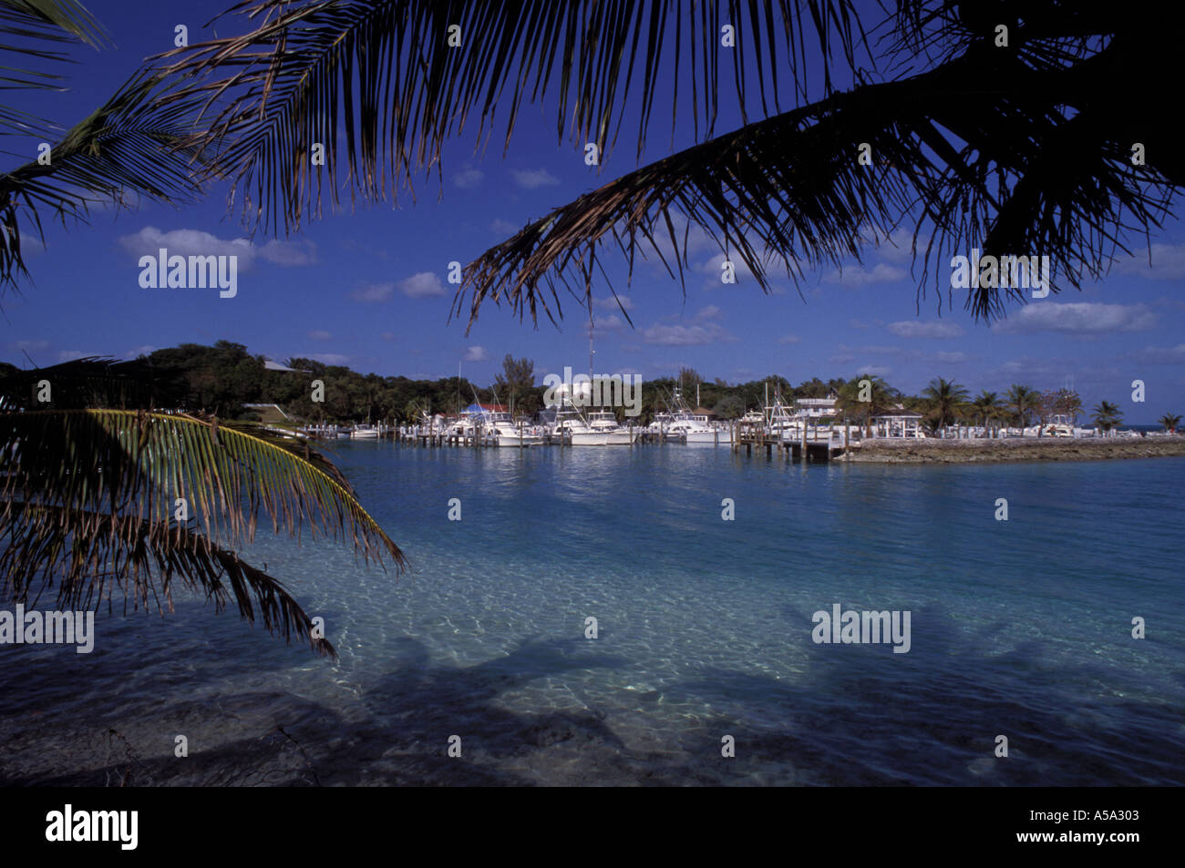 Walker s Cay Northern Bahamas Stock Photo - Alamy