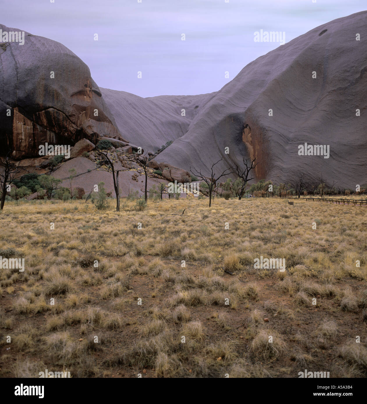 Ayers Rock Uluru during rainfall with flowing streams visible, Northern ...