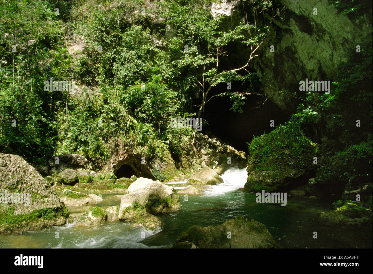 Belize Blue Creek Water cascading over rocks Stock Photo - Alamy