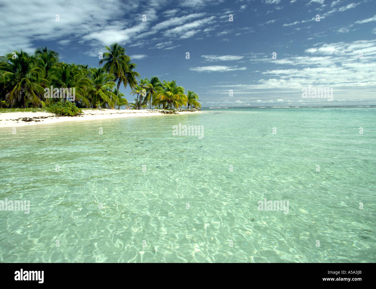 Belize South Water Cay Caribbean Sea Stock Photo - Alamy