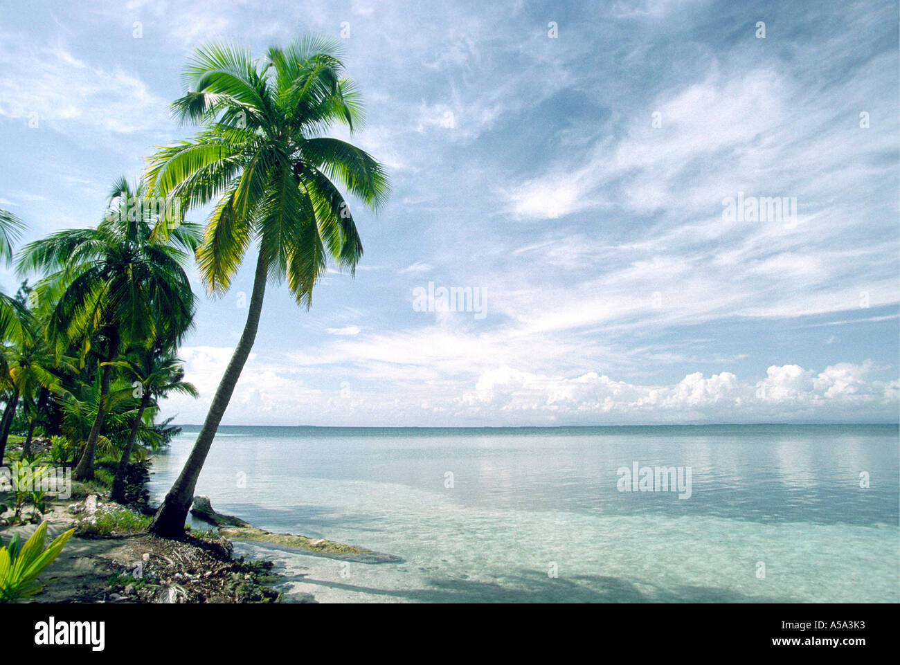 Belize South Water Cay Caribbean Sea from island Stock Photo - Alamy