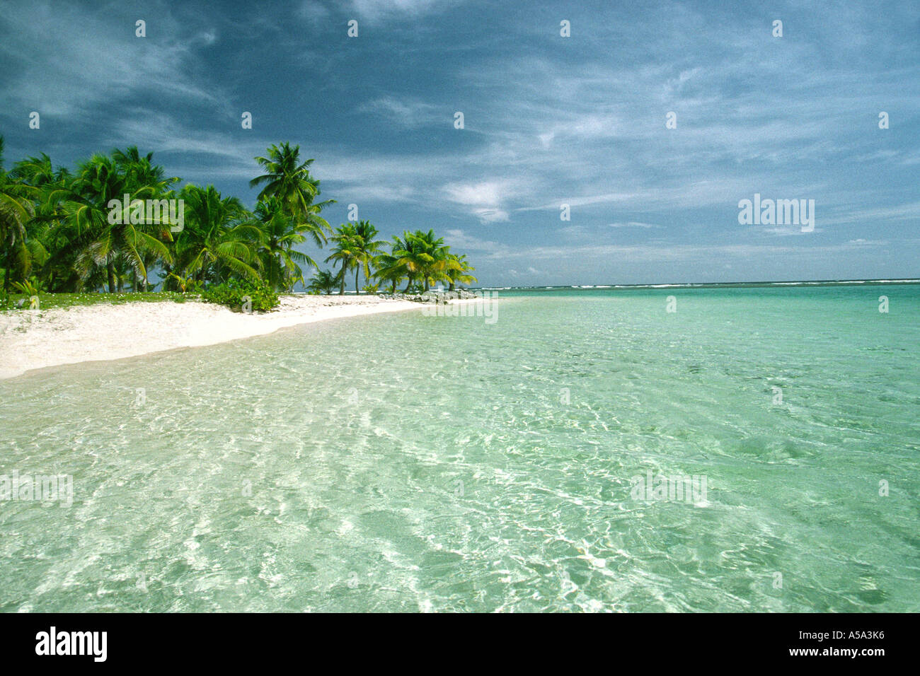 Cay icon hi-res stock photography and images - Alamy