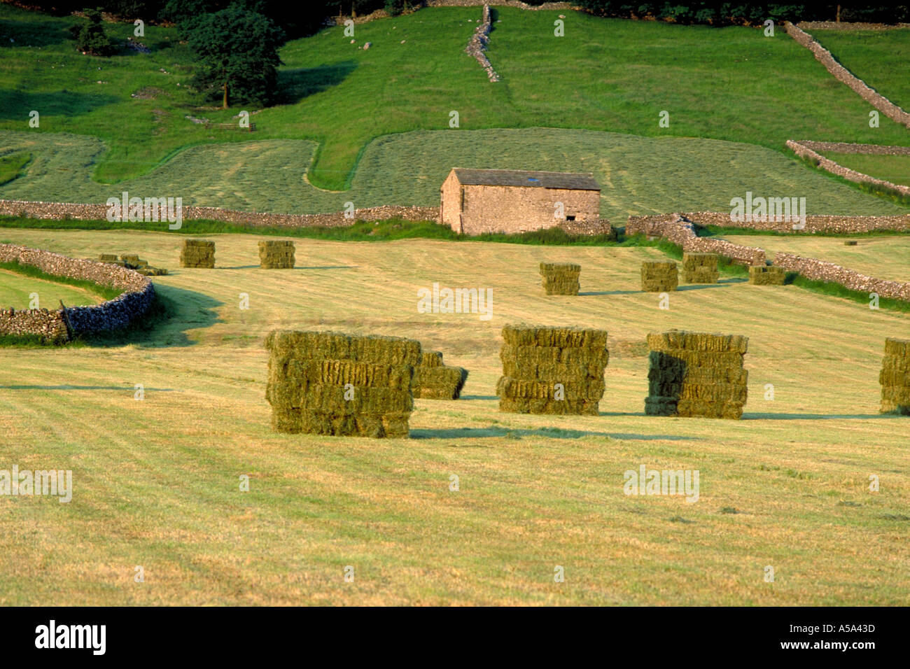 Hay Harvest Kettlewell Yorkshire Dales Stock Photo - Alamy