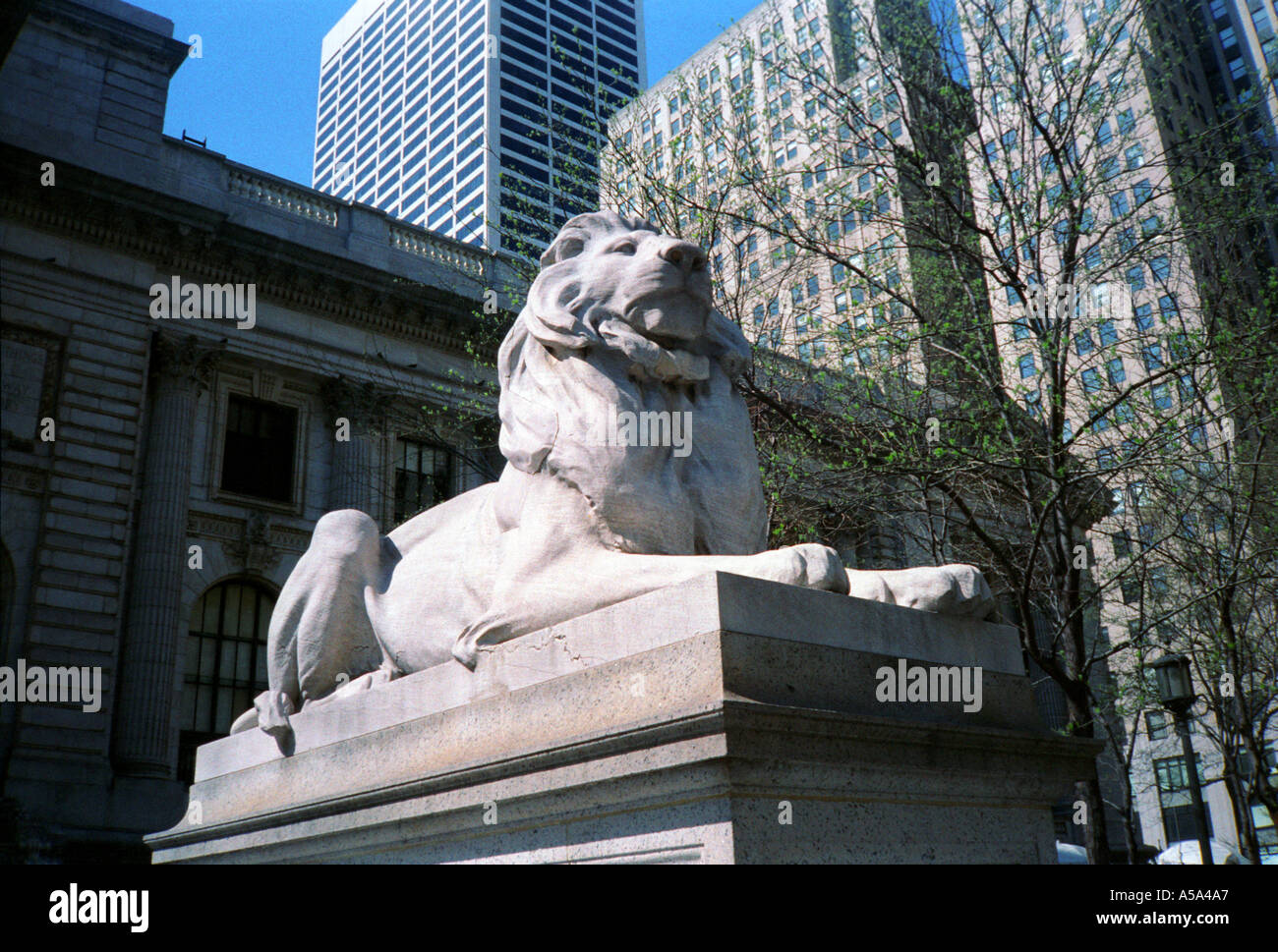Public Library Lion New York City Stock Photo - Alamy