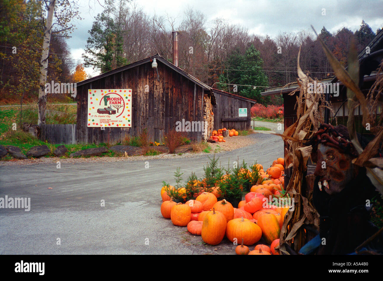 Morse Farm Montpelier Vermont Stock Photo - Alamy