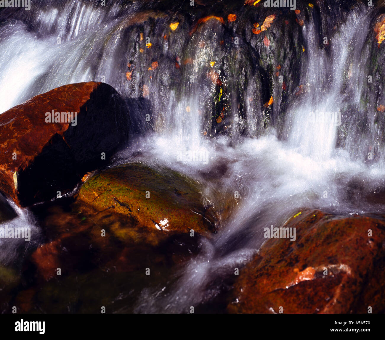 Round rocks and leaves with an waterfall hi-res stock photography and ...