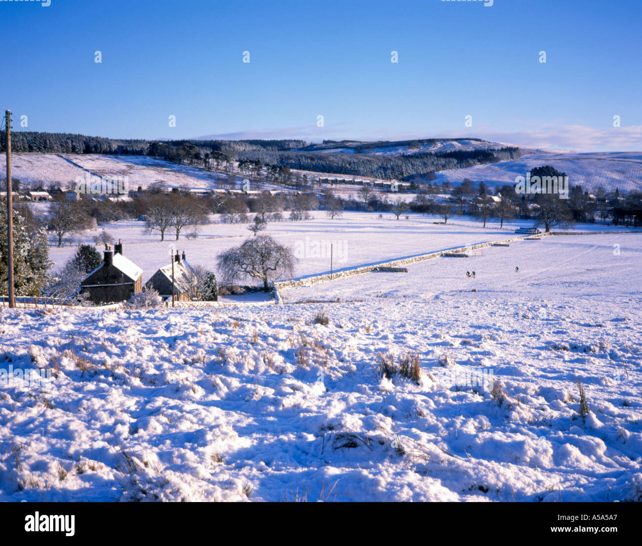 View over fields towards Falstone village in winter, Northumberland ...