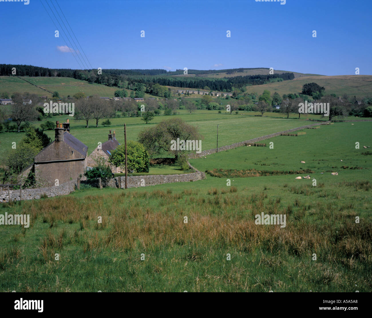 View over fields towards Falstone village in spring, Northumberland ...