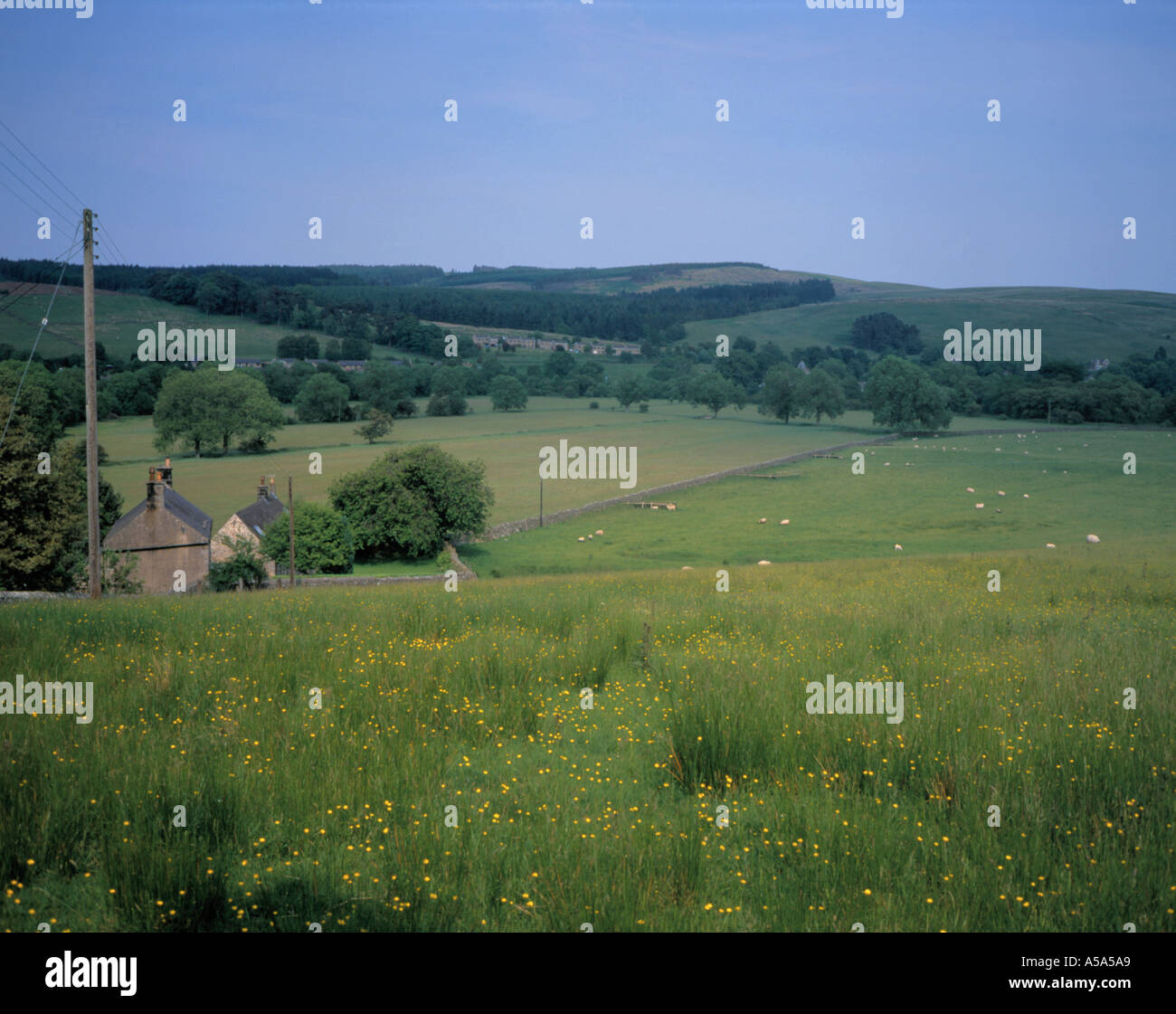 View over fields towards Falstone village, early summer, Northumberland ...