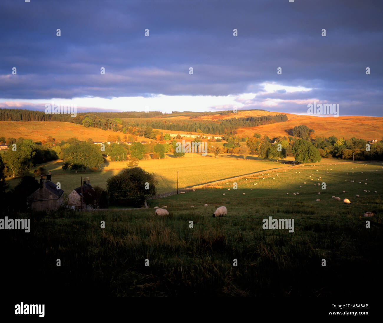 Falstone village hi-res stock photography and images - Alamy