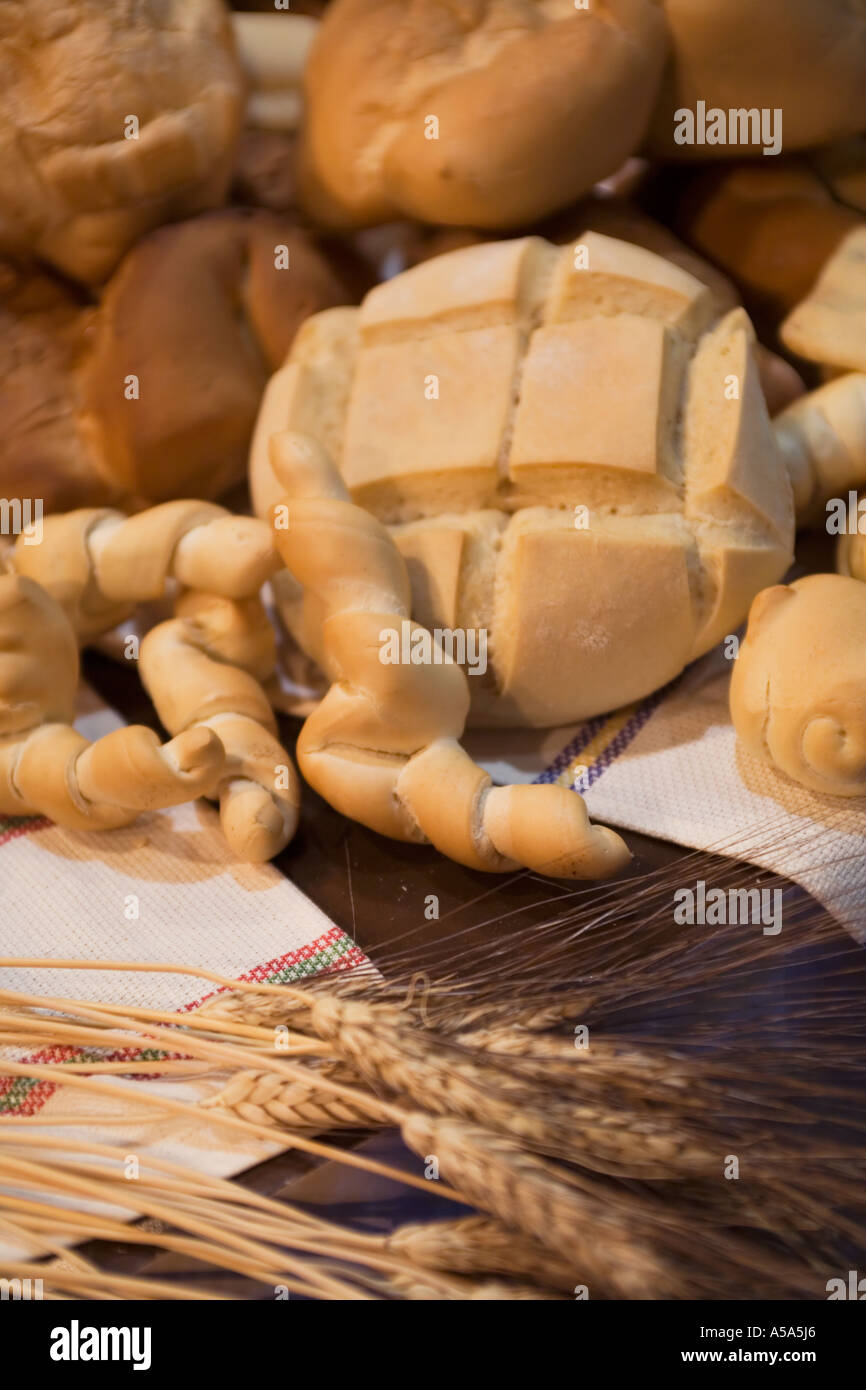 ITALIAN BREAD: FERRARESE, TARTARUGA, MANTOVANA, PAGNOTTA Stock Photo ...