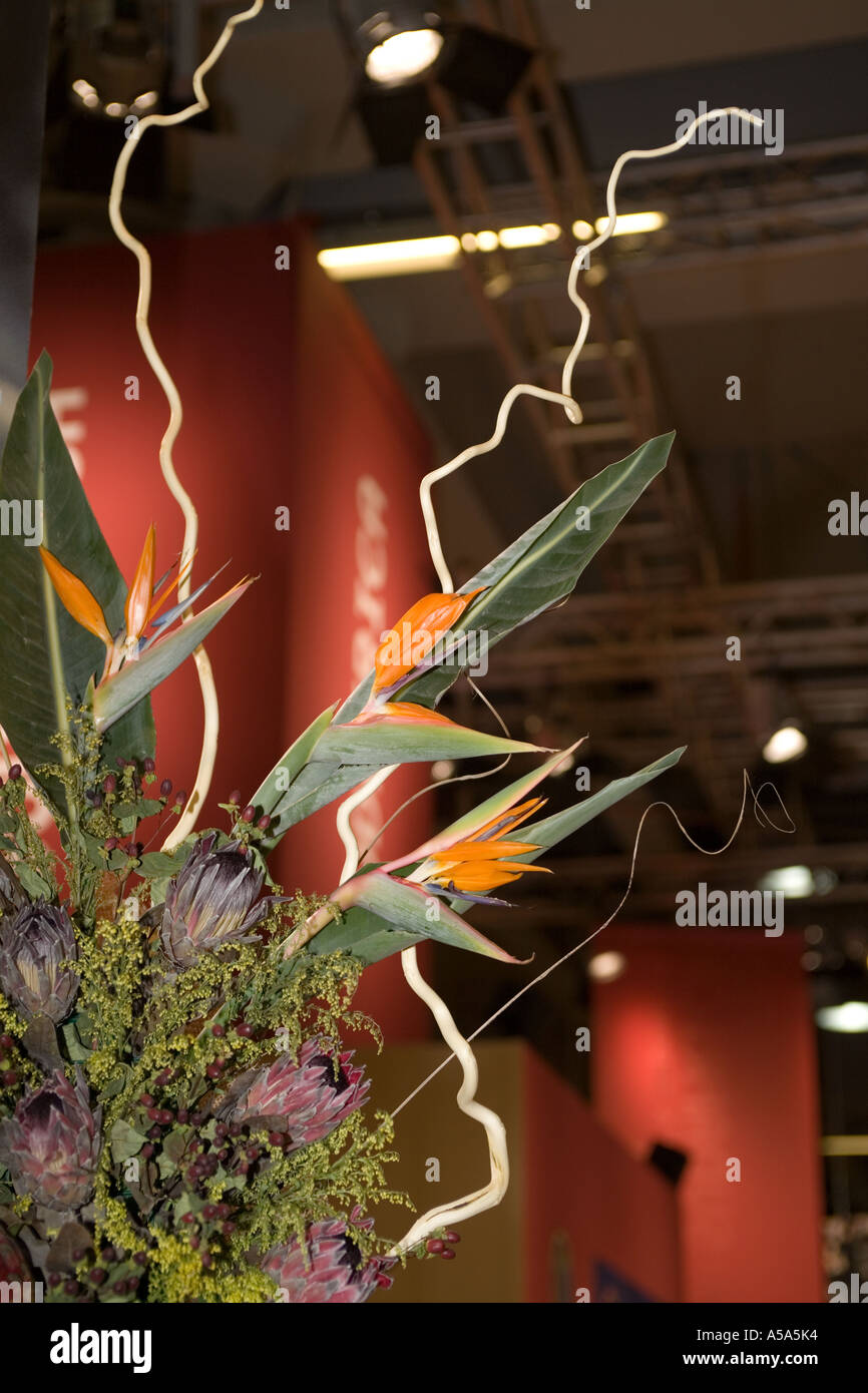 Composition flower hi-res stock photography and images - Alamy