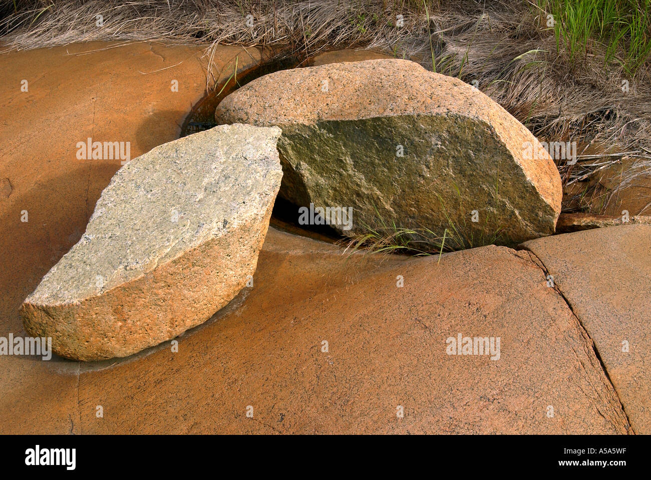 Great canadian shield hi-res stock photography and images - Alamy