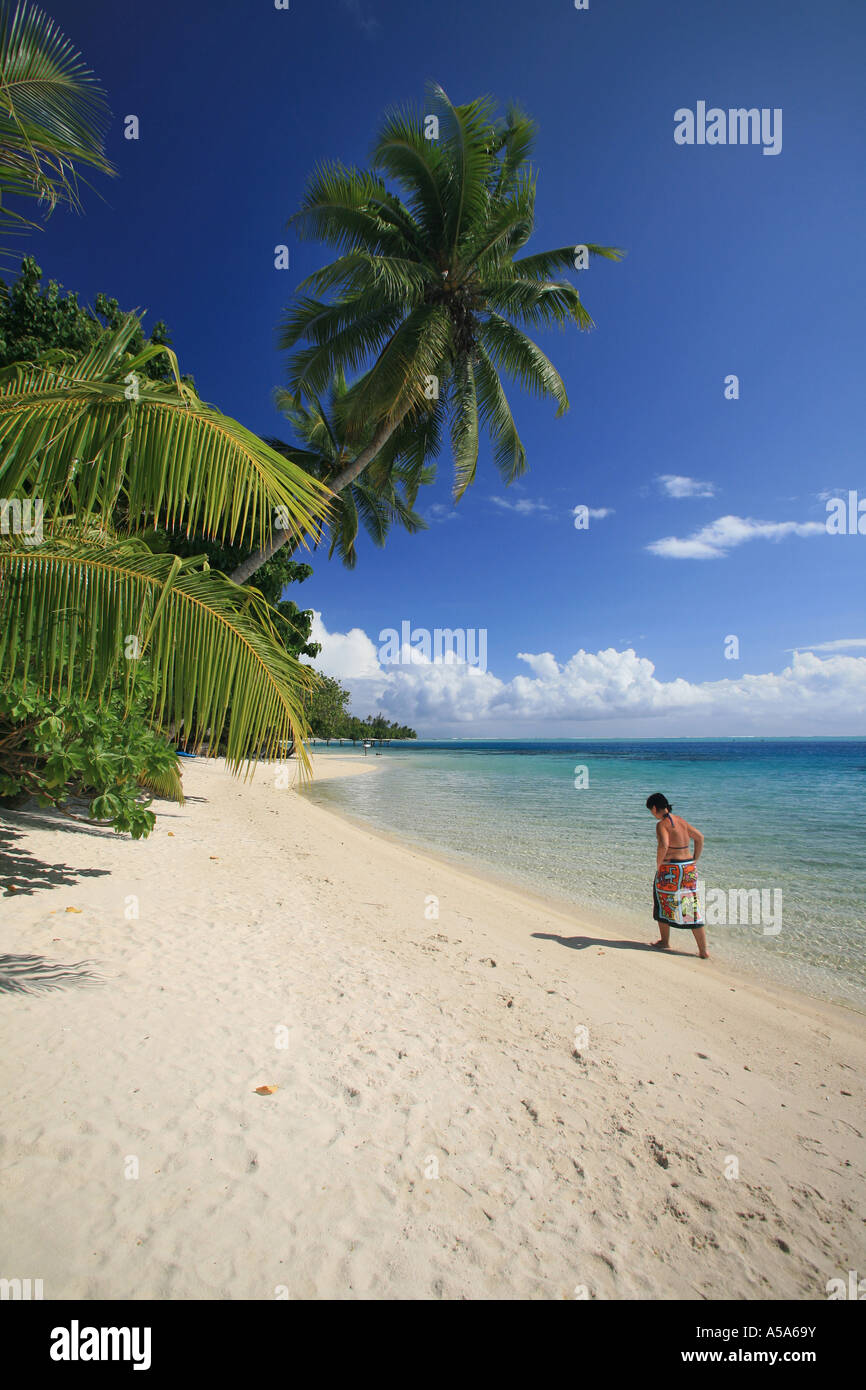 Tropical Dream Beach Stock Photo - Alamy