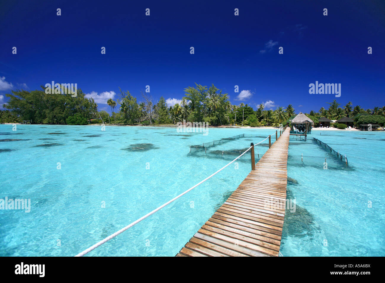 Tropical Dream Beach Stock Photo - Alamy