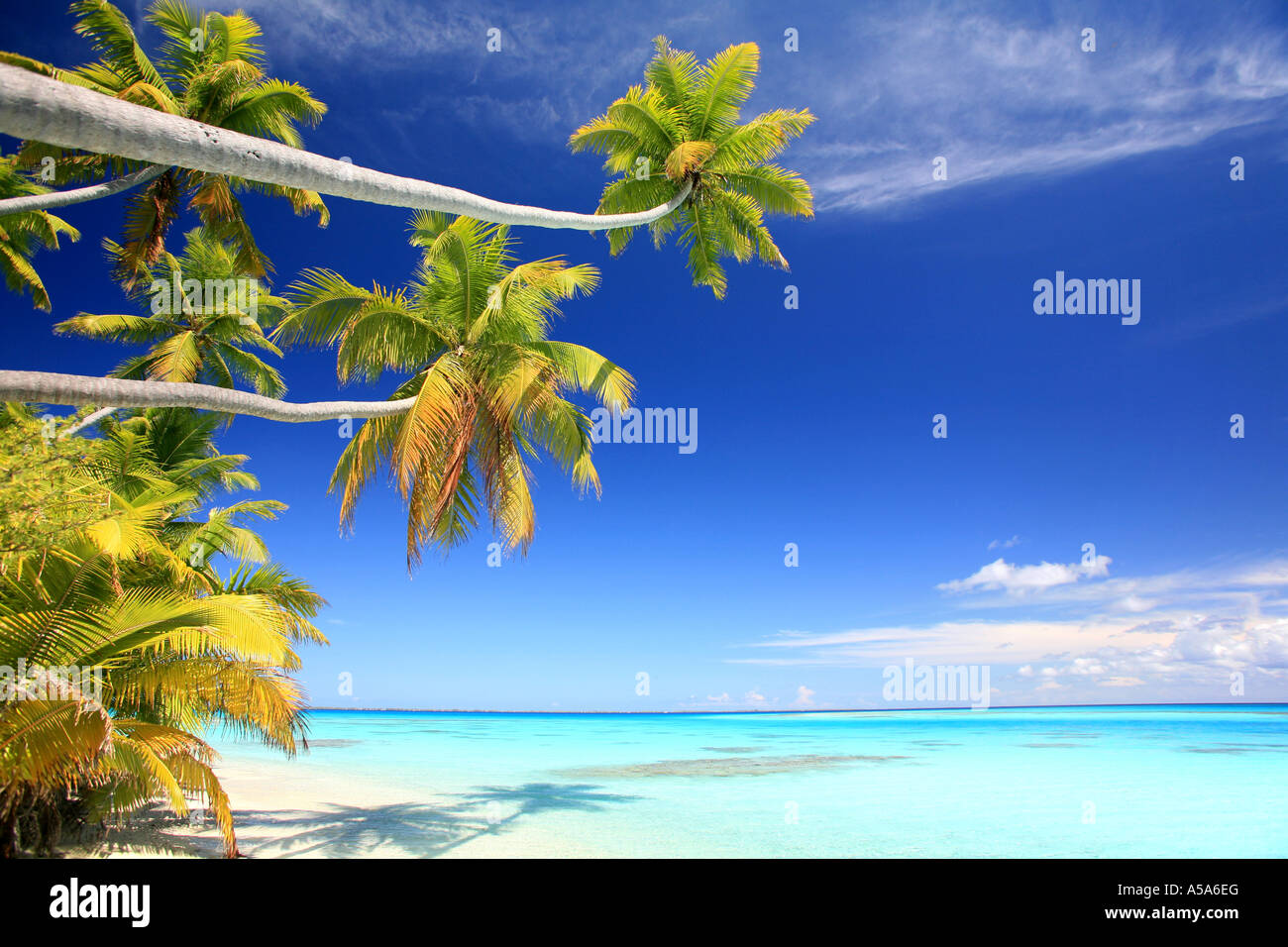 Tropical Dream Beach Stock Photo - Alamy