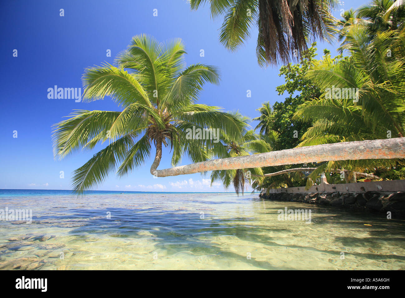 Tropical Dream Beach Stock Photo - Alamy