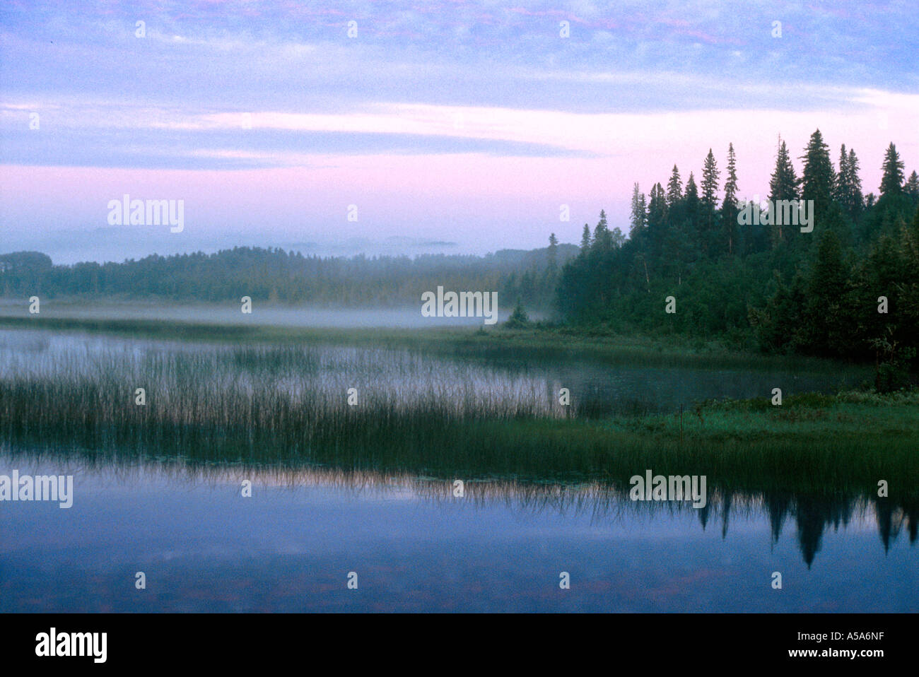 wilderness northern scenery Canadian Stock Photo - Alamy
