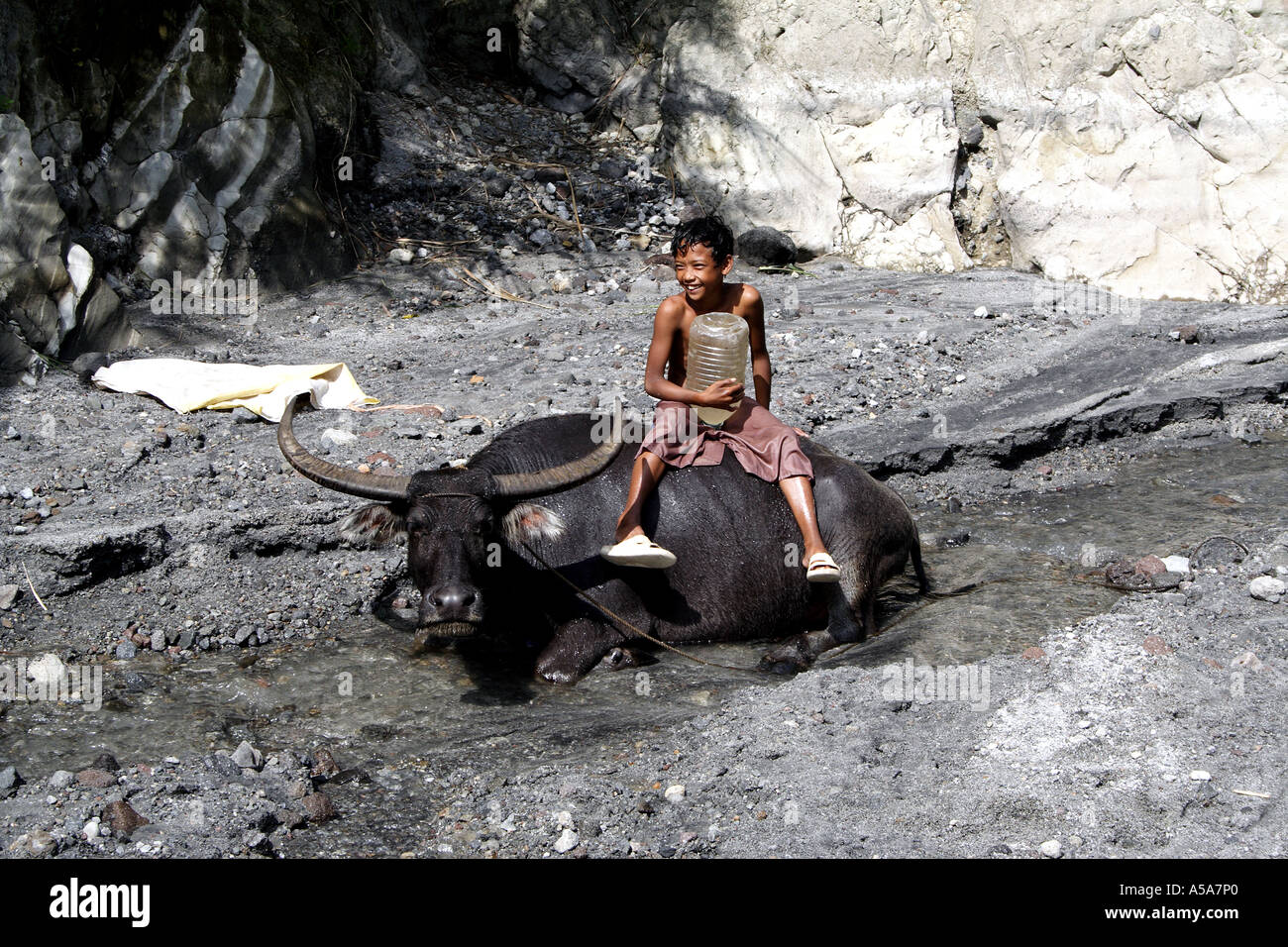 Small Aeta boy washing down his water buffalo near Mount Pinatubo ...