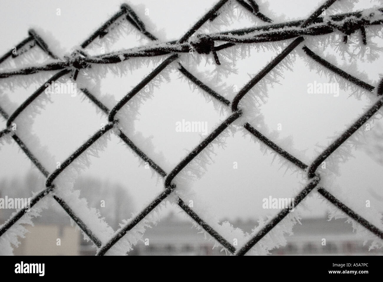Meshed fence hi-res stock photography and images - Alamy