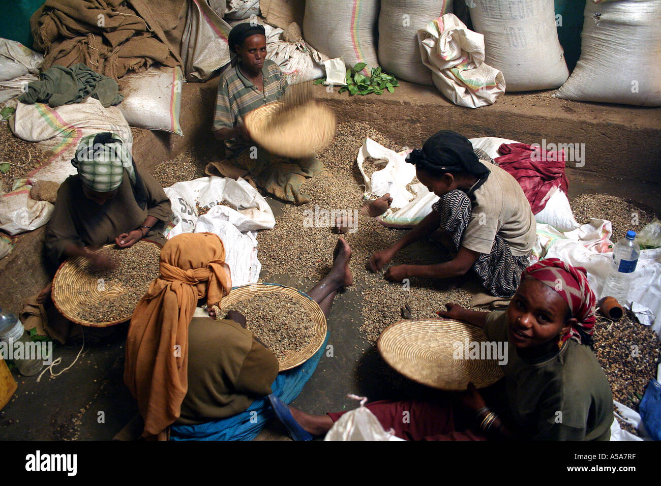 Coffee processing ethiopia hi-res stock photography and images - Alamy