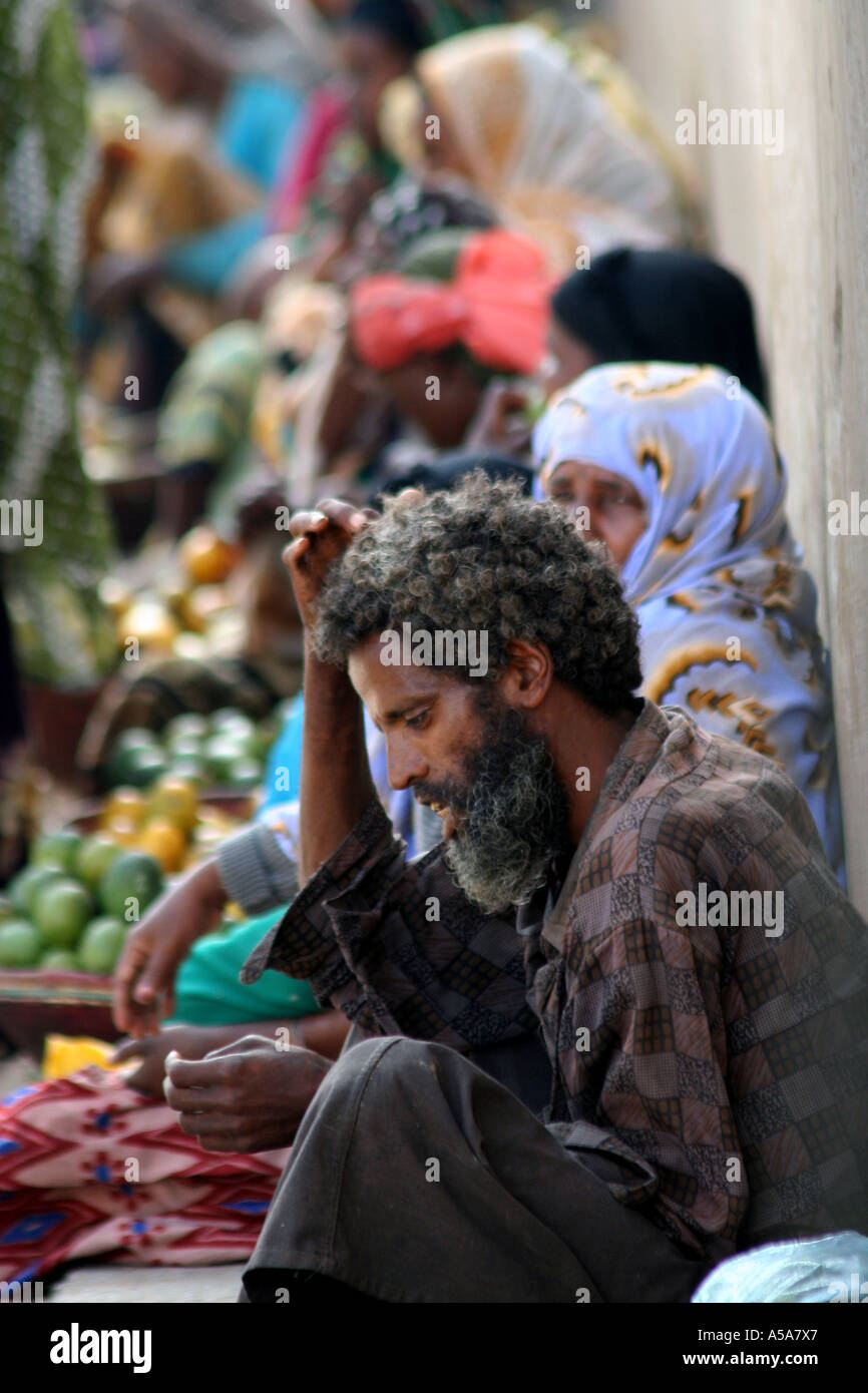 Qat quat hi-res stock photography and images - Alamy