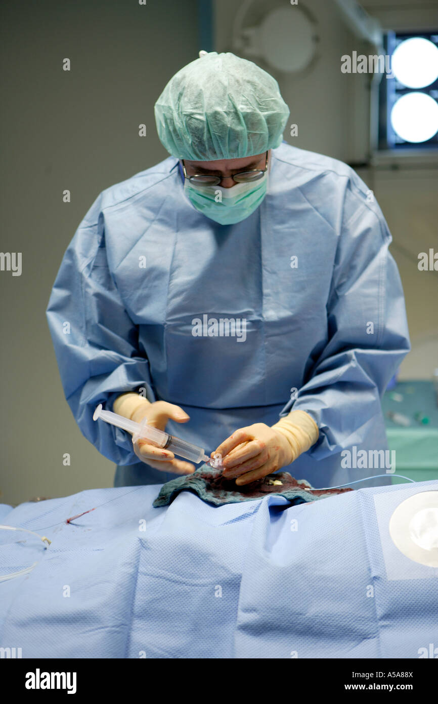 CENTRE FOR VASCULAR MEDICINE AND ANGIOLOGY Stock Photo - Alamy