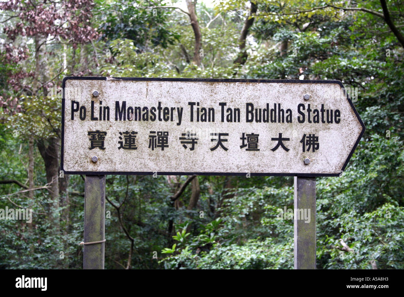 Sign to the Tian Tan Buddha, Lantau Island, Hong Kong Stock Photo - Alamy