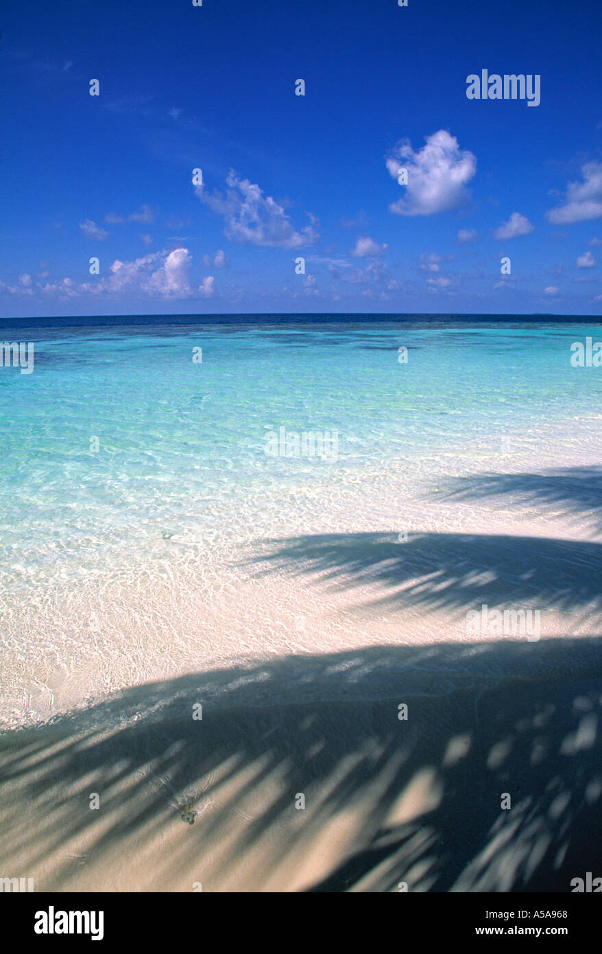 Maldives, Indian Ocean Stock Photo - Alamy