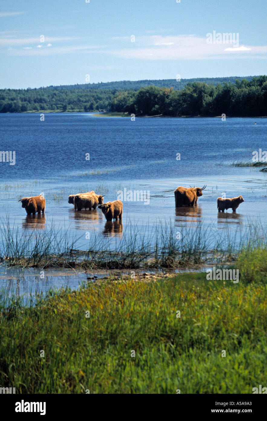 Gagetown hi-res stock photography and images - Alamy