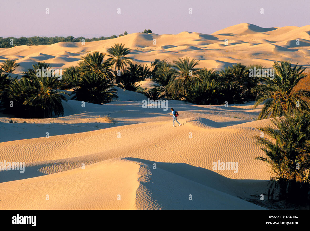 Sahara Desert, Douz, Tunisia Stock Photo - Alamy