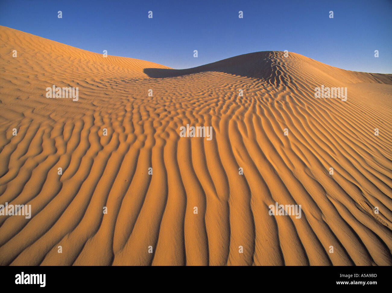 Sahara Desert, Douz, Tunisia Stock Photo - Alamy