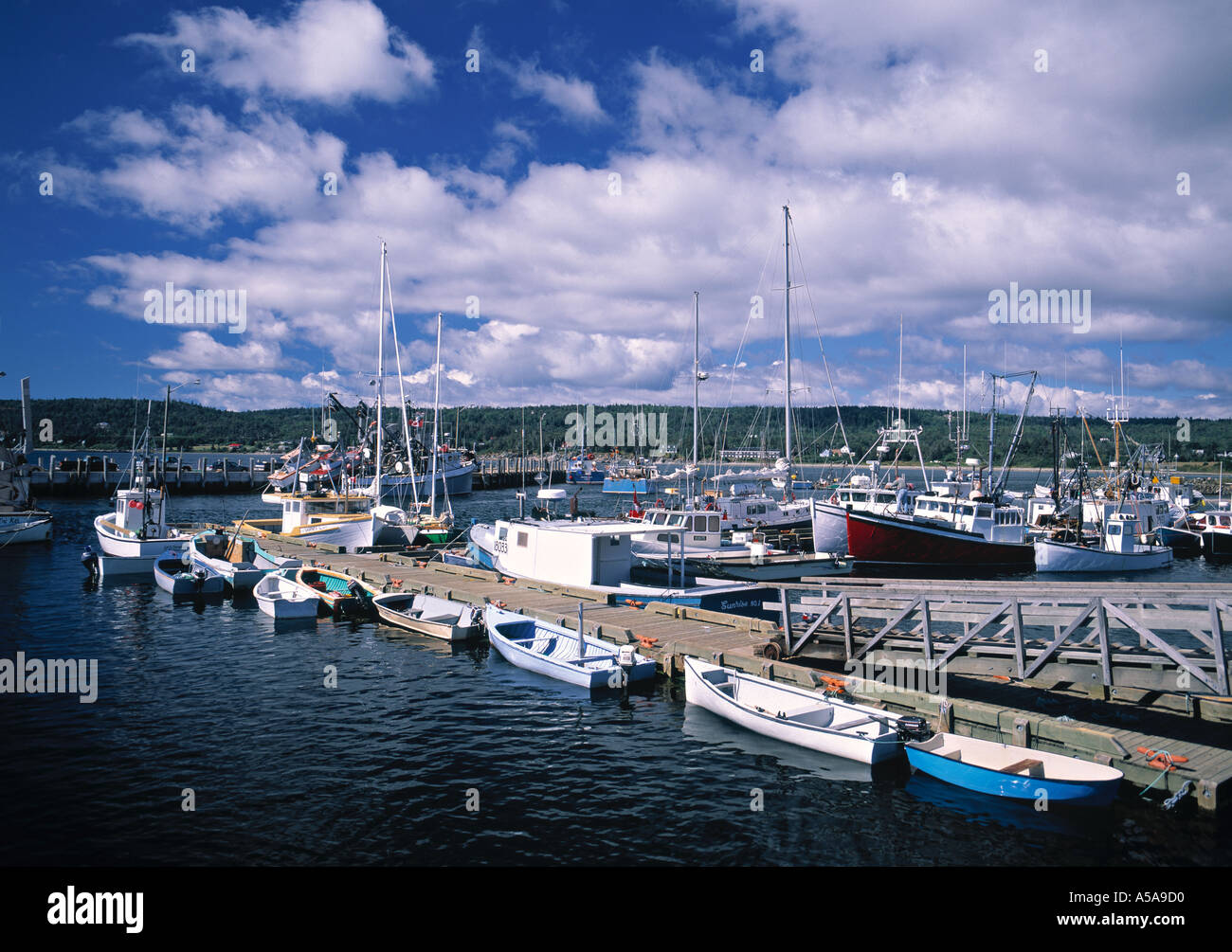 North Head, Grand Manan Island, New Brunswick, Canada Stock Photo - Alamy
