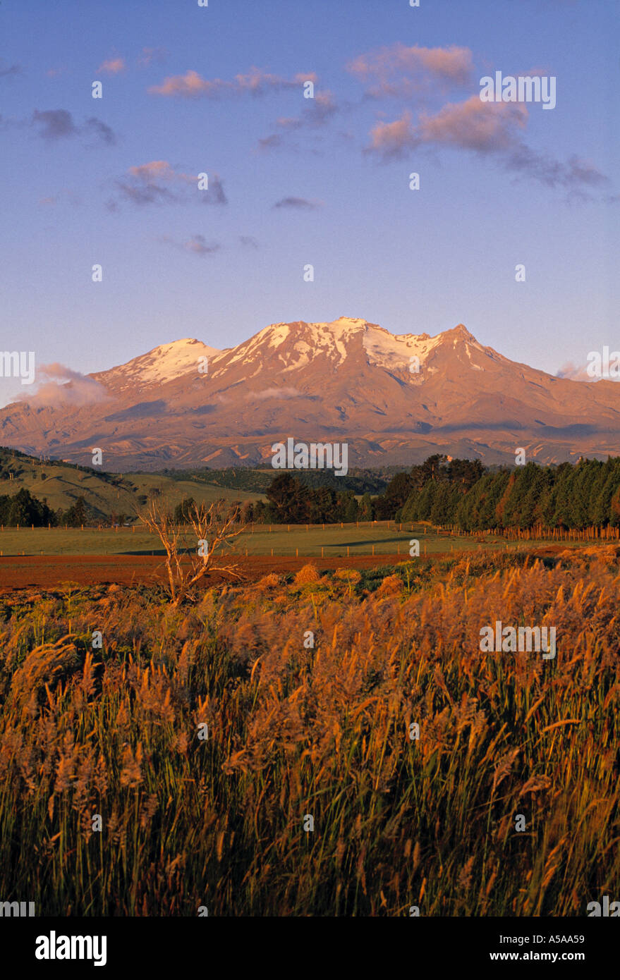 Mt. Ruapehu, New Zealand Stock Photo - Alamy