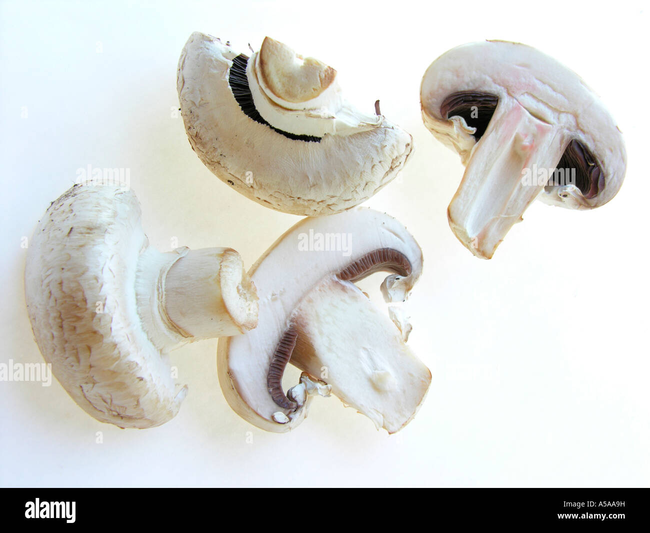 Mushrooms cut in halves Stock Photo - Alamy