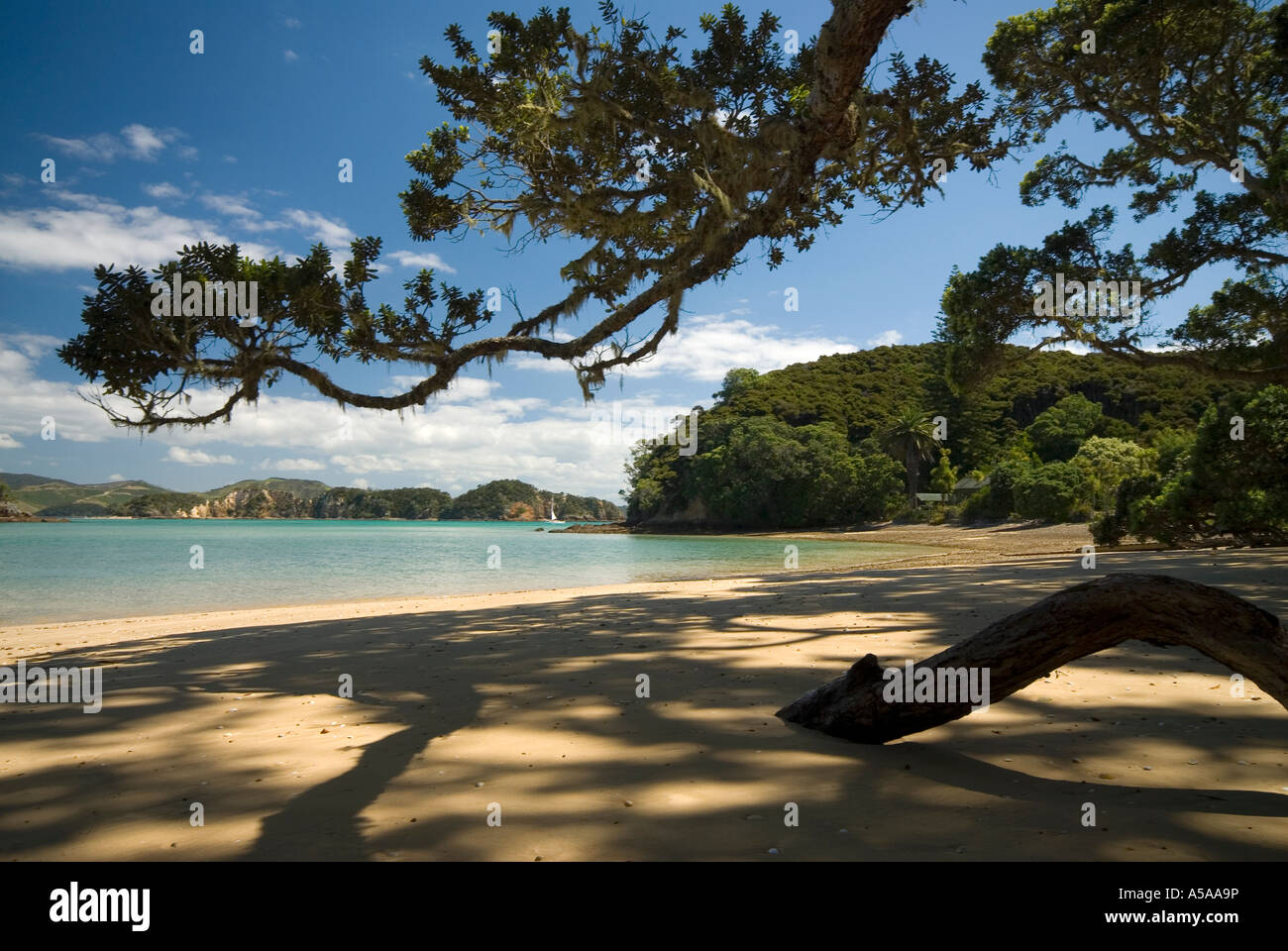 Urupukapuka island bay islands new hi-res stock photography and images ...