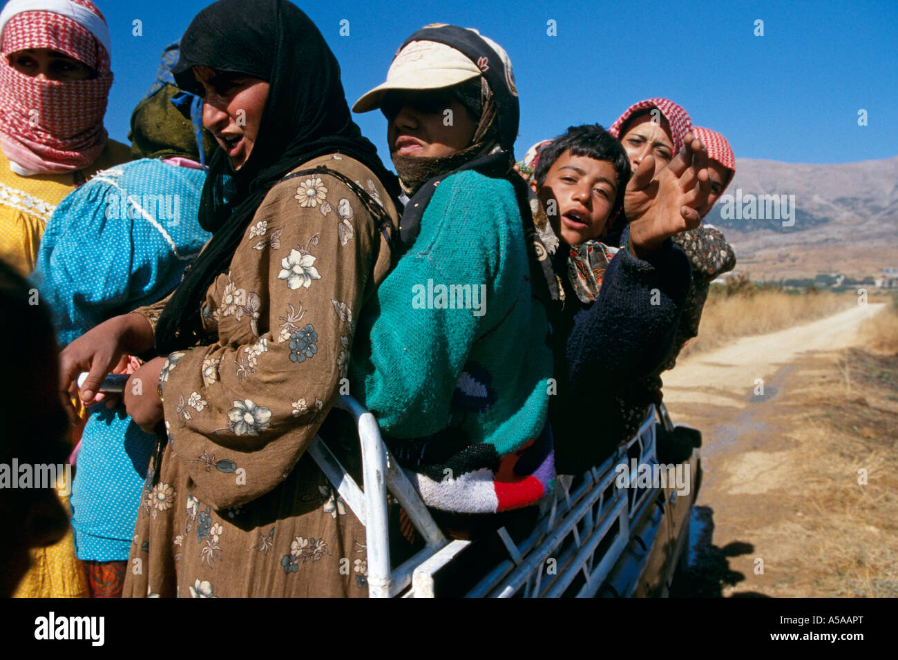 Bedouin workers being transported to a vineyard in Bekka Valley Lebanon ...