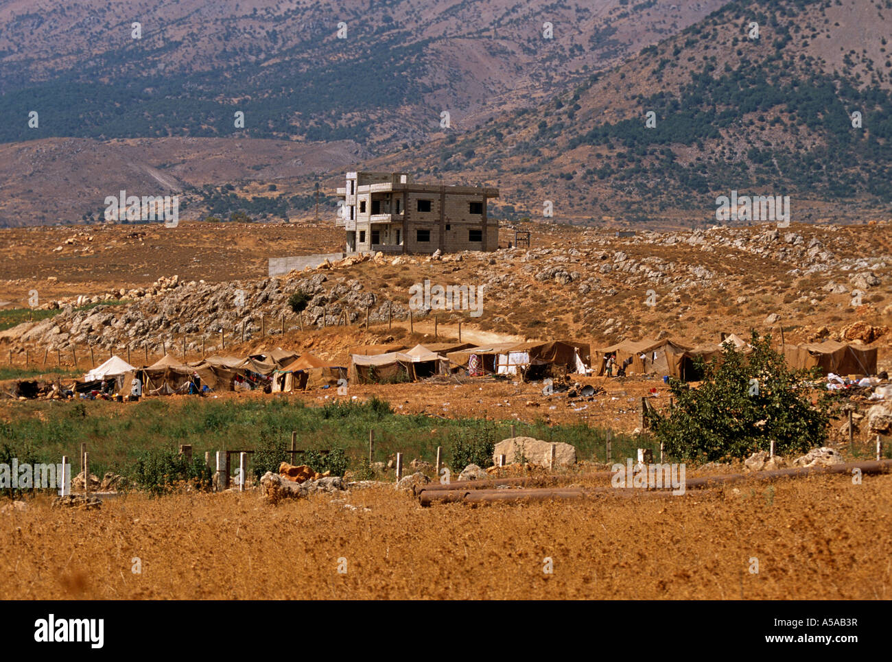 A farmers settlement near the vineyard in Bekka Valley Lebanon Stock ...