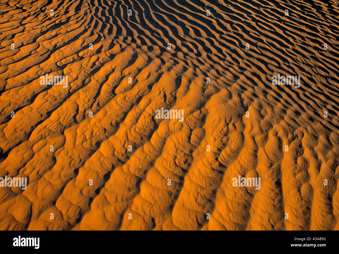 Douz hi-res stock photography and images - Alamy